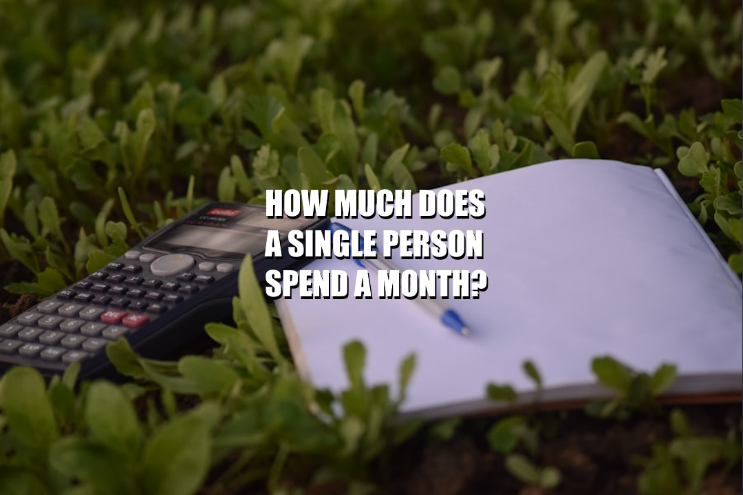 How much does a single person spend a month?